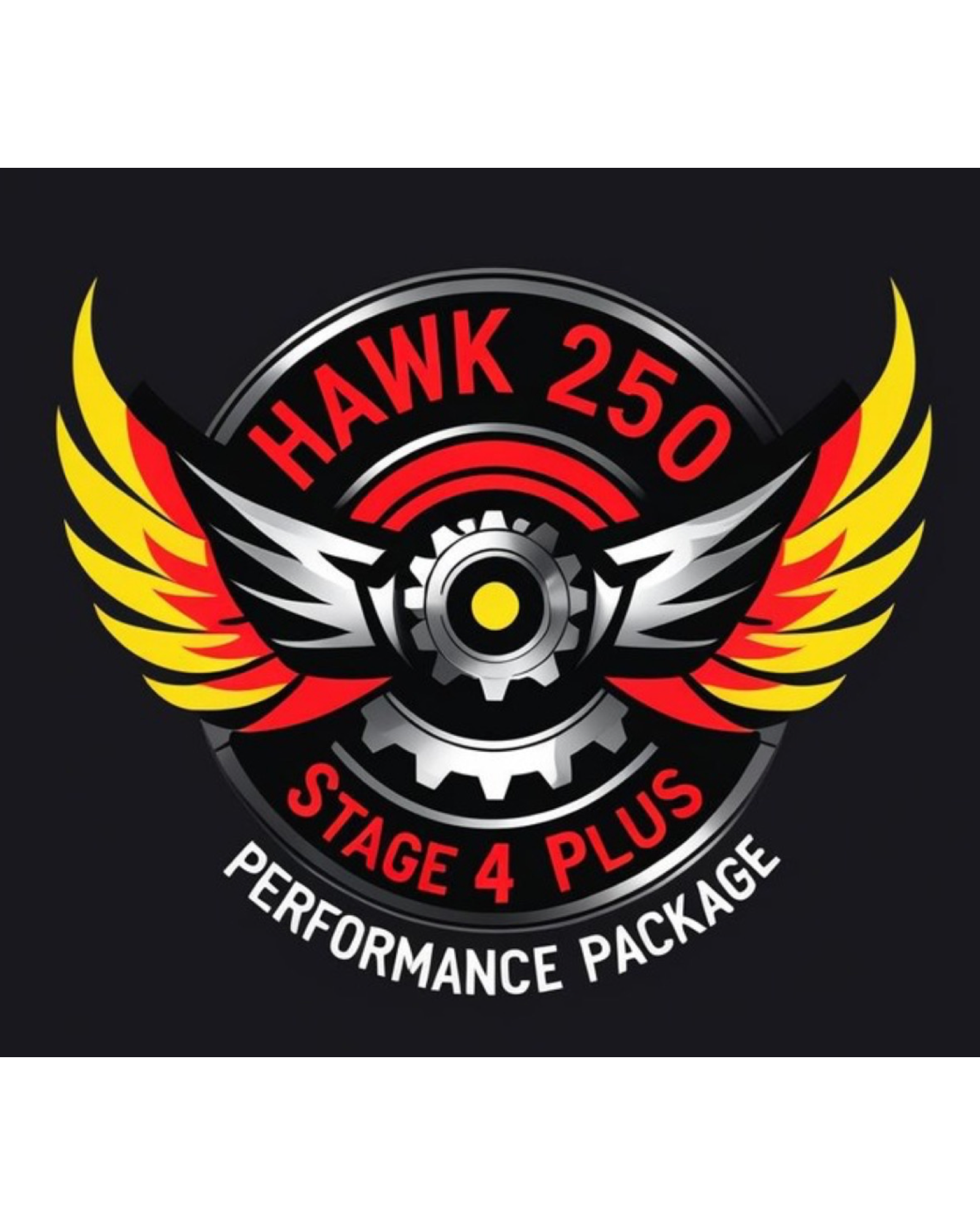 Hawk 250 RPS Stage 4 Plus Performance Package – MotoCult
